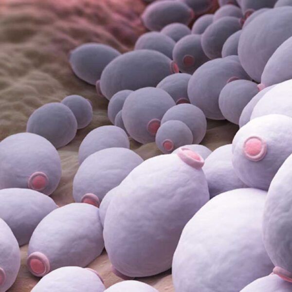 Laboratorio Biosalud IAnálisis de Candidiasis e Infecciones por Hongos ...