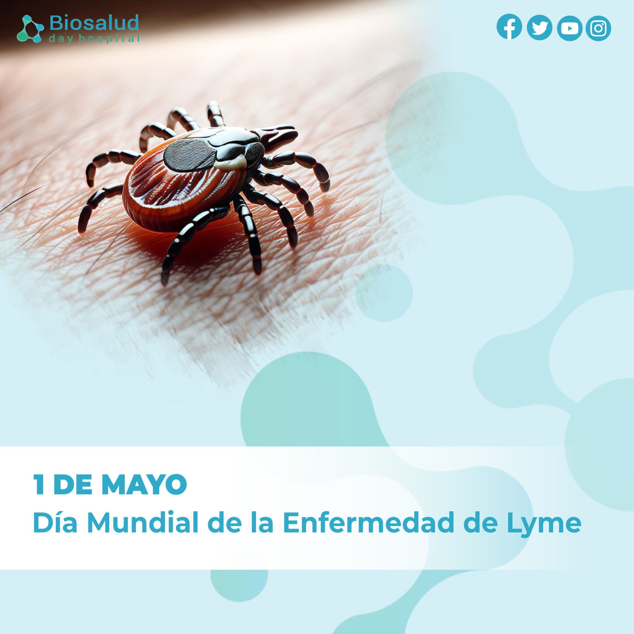 BIOSALUD | Centros de tratamientos de medicina integrativa y biológica en Madrid y Zaragoza ...